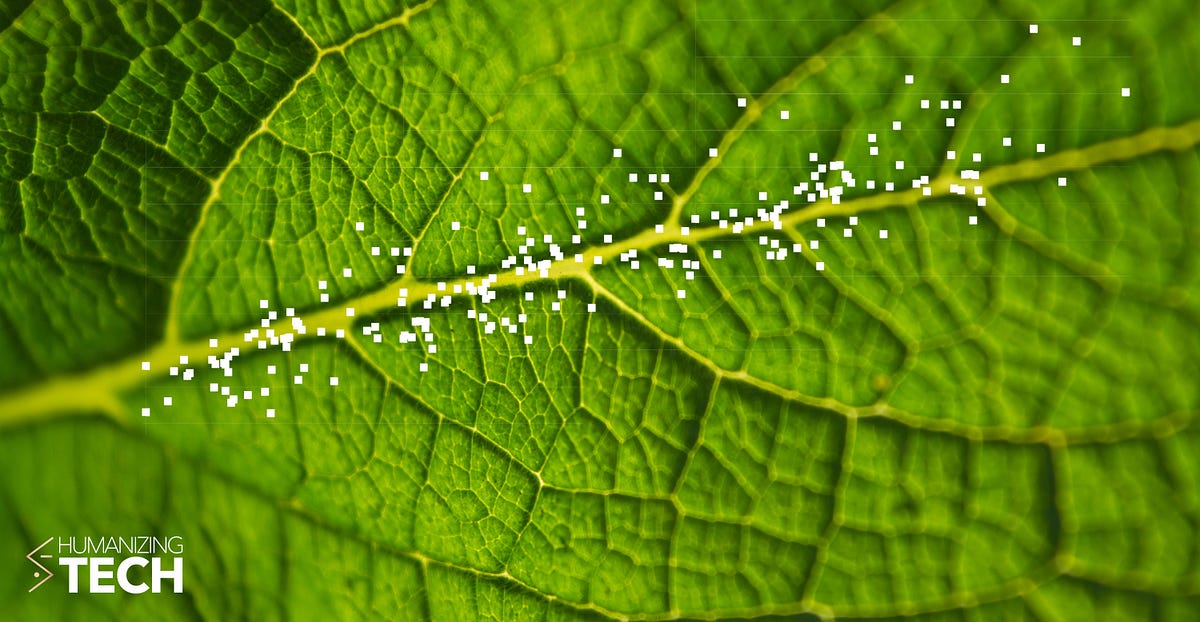 A Novel Framework for Creating Self-Learning Artificial Intelligence ...