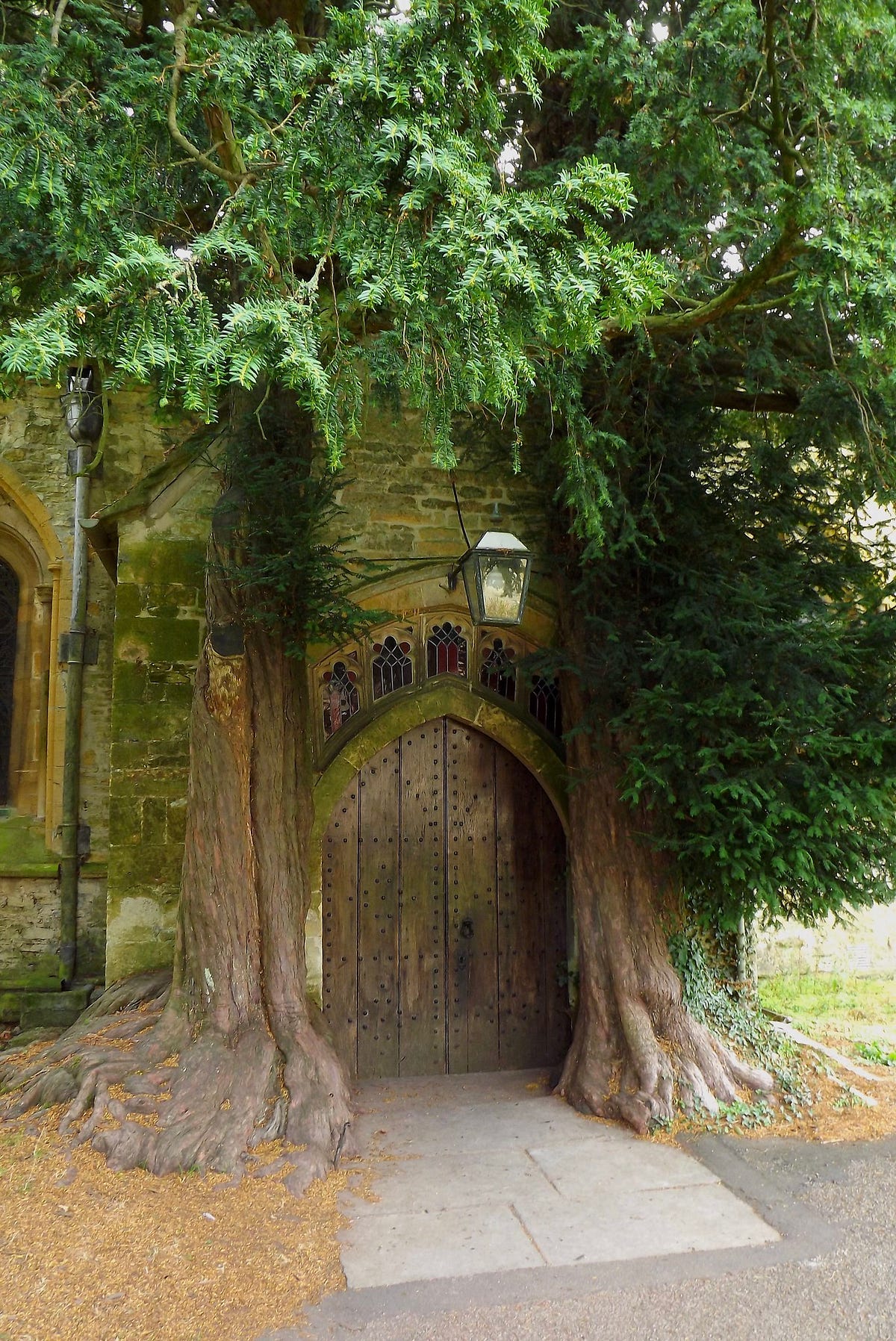 On Seeing a Chapel with Yew Trees | by Regina Clarke | The Lark ...