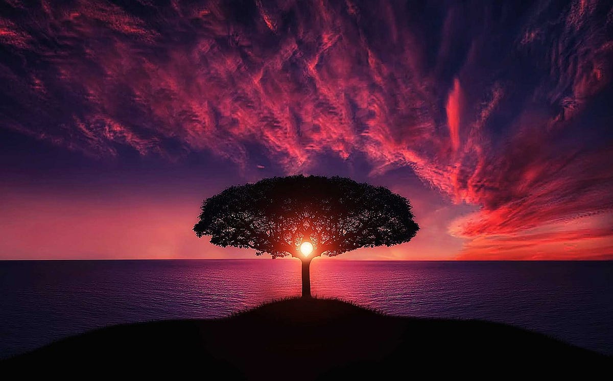 Intuitive Guide to Understanding Decision Trees | by Thushan Ganegedara ...