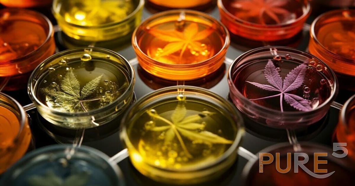 Medical Cannabis Products - Pure 5 Extraction Equipment Company - Medium
