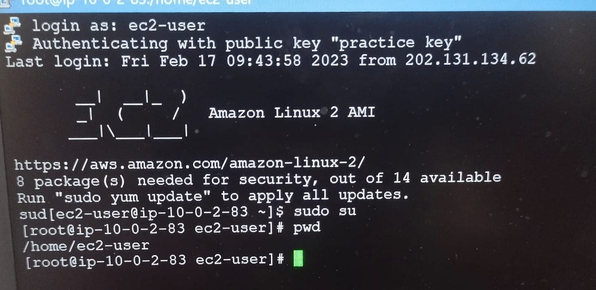 Day 2: Basic Linux Commands - Rajan Kumar mishra - Medium