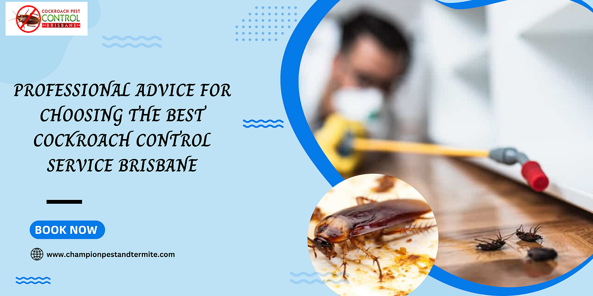 Professional Advice for Choosing the Best Cockroach Control Service Brisbane | by ...