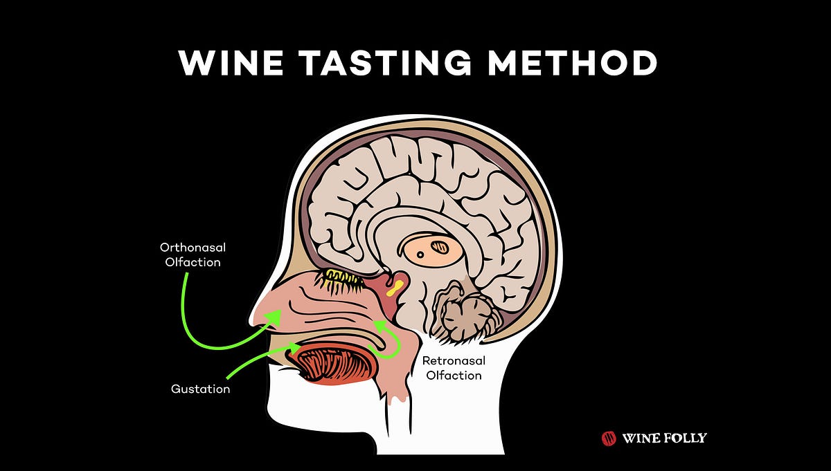 The Wine Tasting Method. Learning to taste wine teaches us to… | by ...