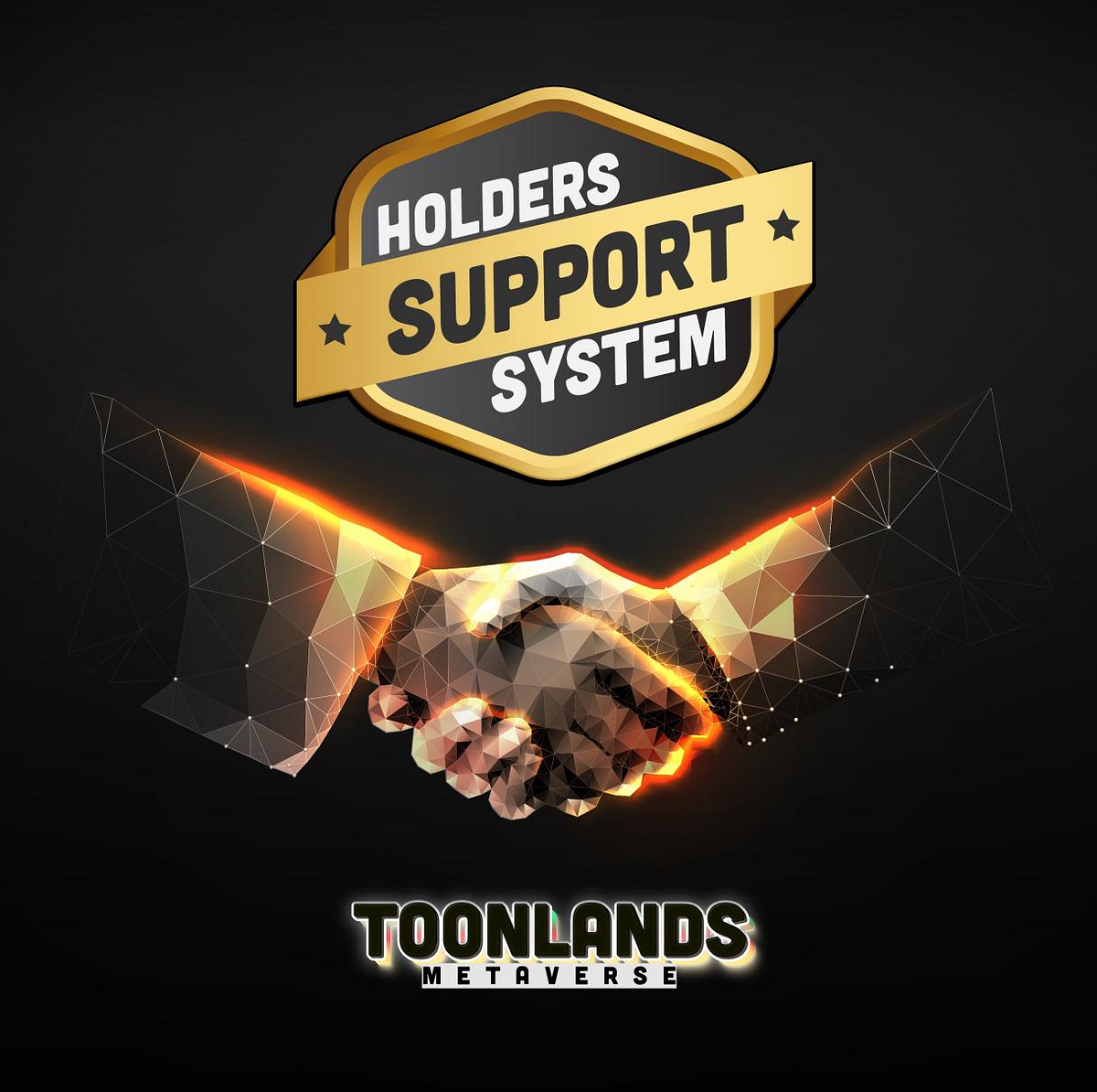 Holders Support System 🚀🚀🚀. We explain the support system we have… | by ...