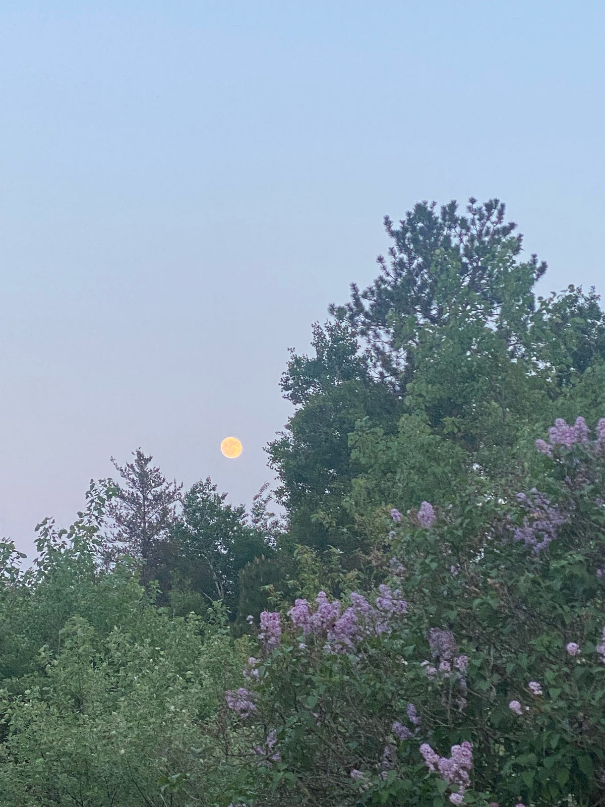 Walk through the wrong door rather than spending your life in the wrong room | by paper trails ...