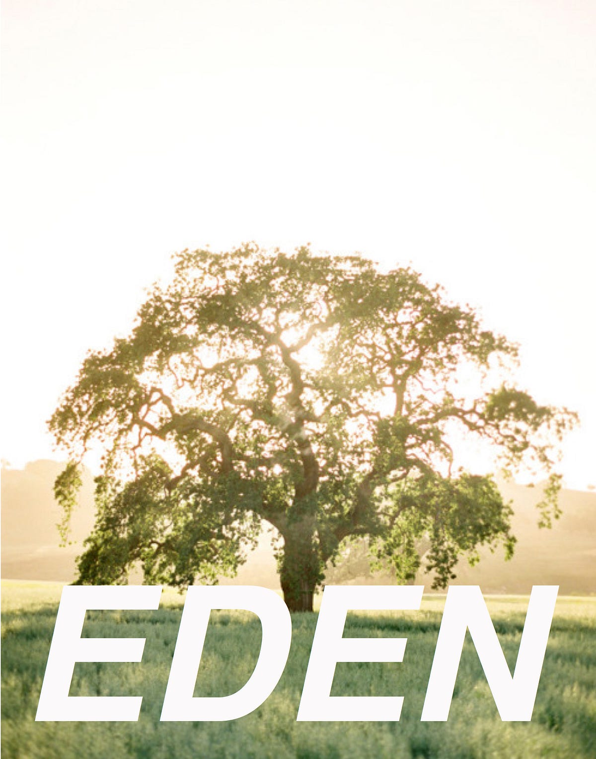 Eden. Chapter 3 | by James Fulton Doughty | Medium