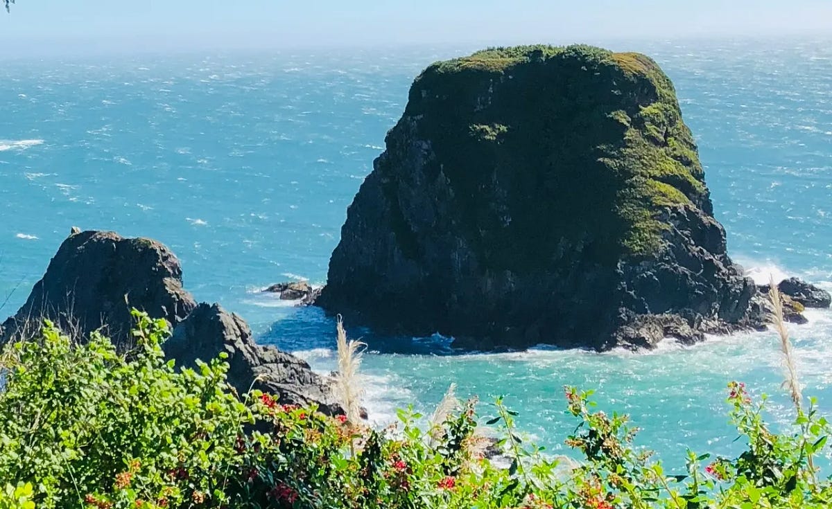 The Dominion Management Style: Little Discussed, all too Common | by ...