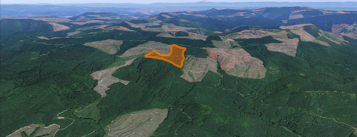My thoughts on the Written Plans for Weyerhaeuser Logging Operations in ...