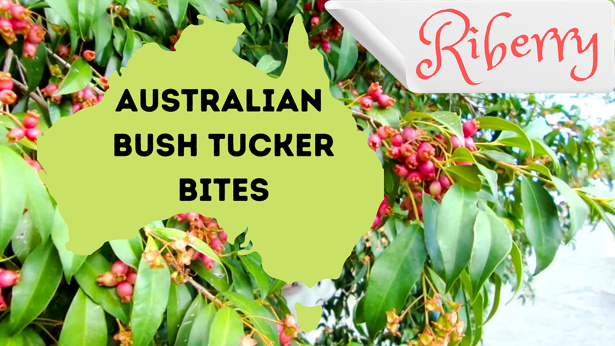 Featuring crimson delights from the clove family! Australian Bush ...