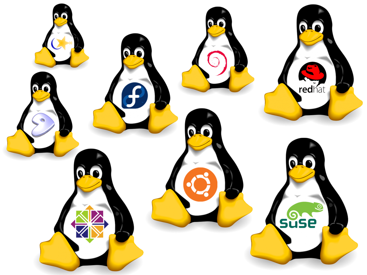 Linux for DevOps: What You Need to Know | by Etisang Afangideh | Medium