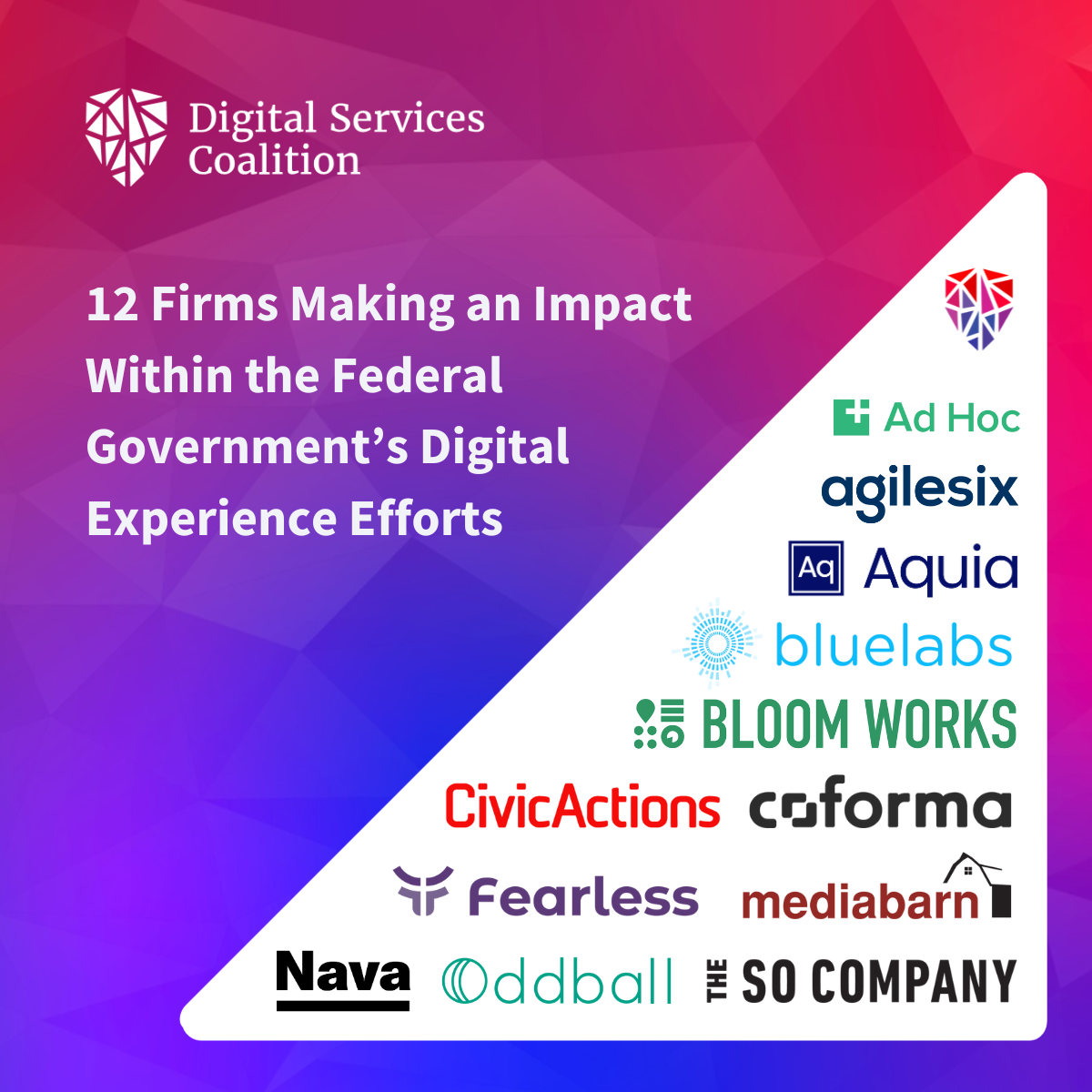 How DSC Member Organizations Are Making an Impact Within the Federal ...