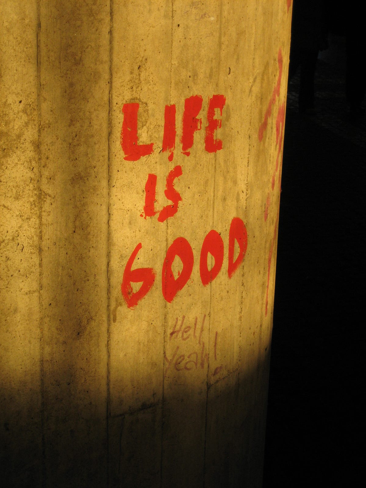 What Comes Over us. Even in illusion, isn’t it grand? | by Kevin Joseph ...