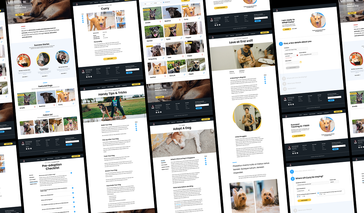 Case study: Saving our street dogs | by Cheryl C | Bootcamp | Medium