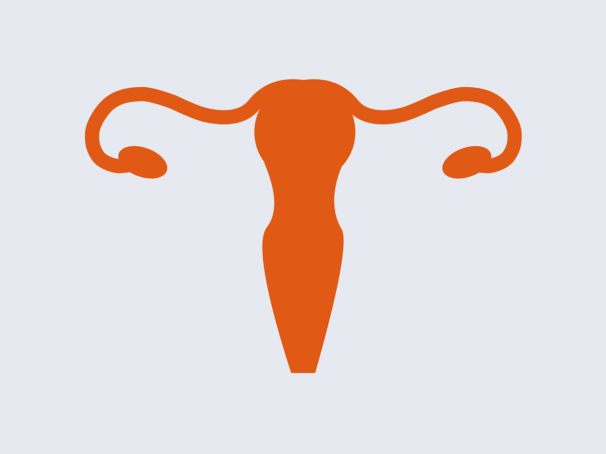 On Women’s Health. Yes, we’re going there | by Katelyn Duncan | Medium