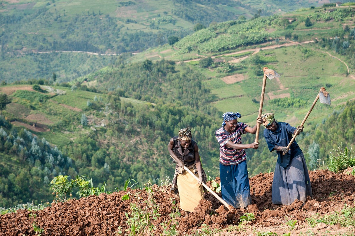Solving Poverty One Acre At A Time | by Erik Brown | Publishous | Medium