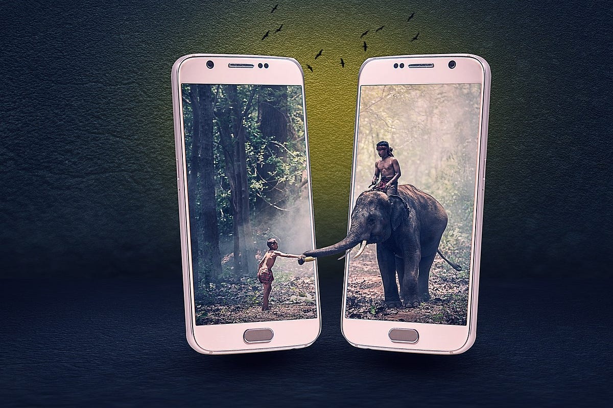 Why AutoReels is the Best AI Tool for Effortless YouTube and TikTok Content | by Ash Miah | Mar ...