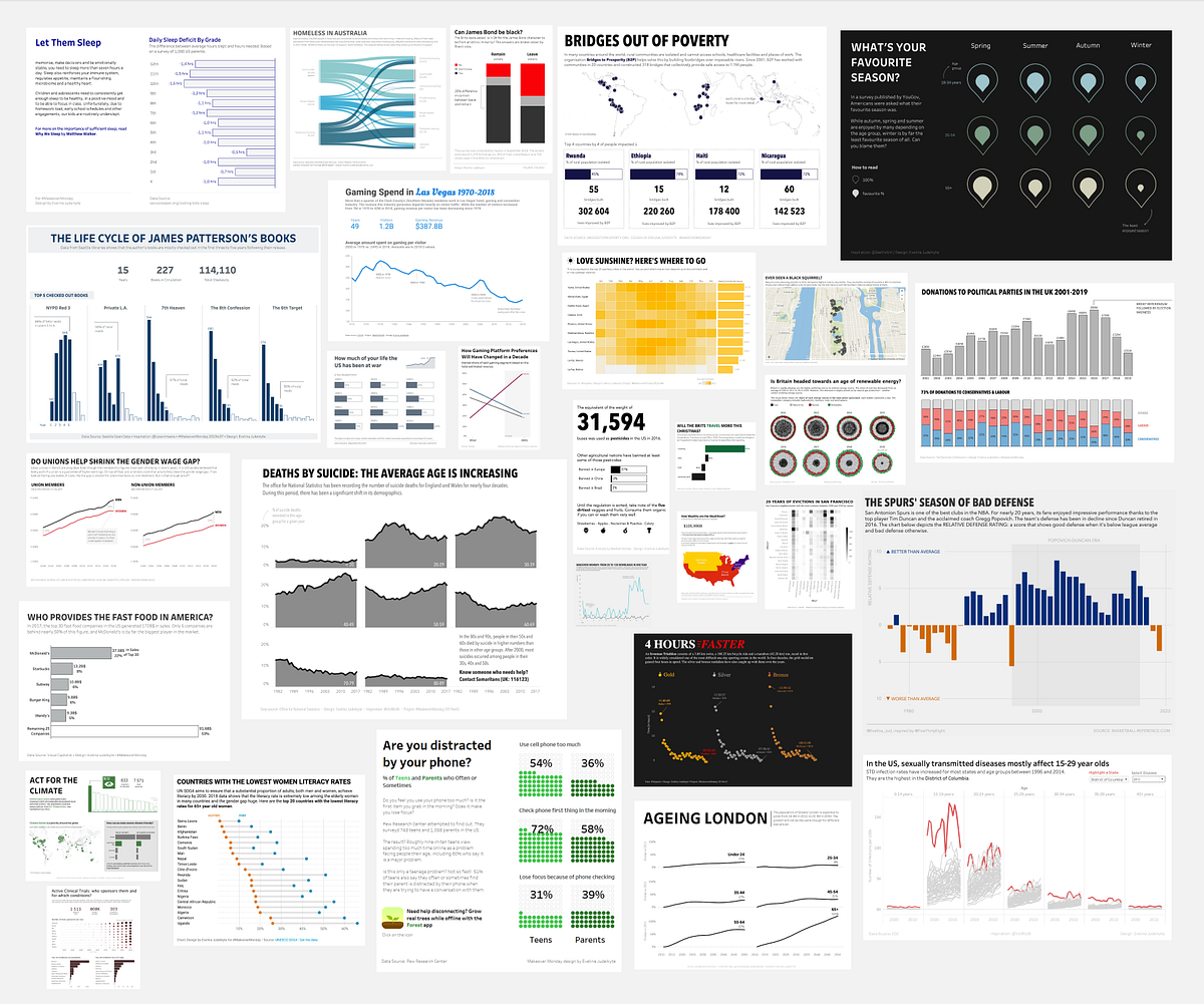 I Learned Data Viz in a Year, and You Can Too | by Evelina Judeikytė ...