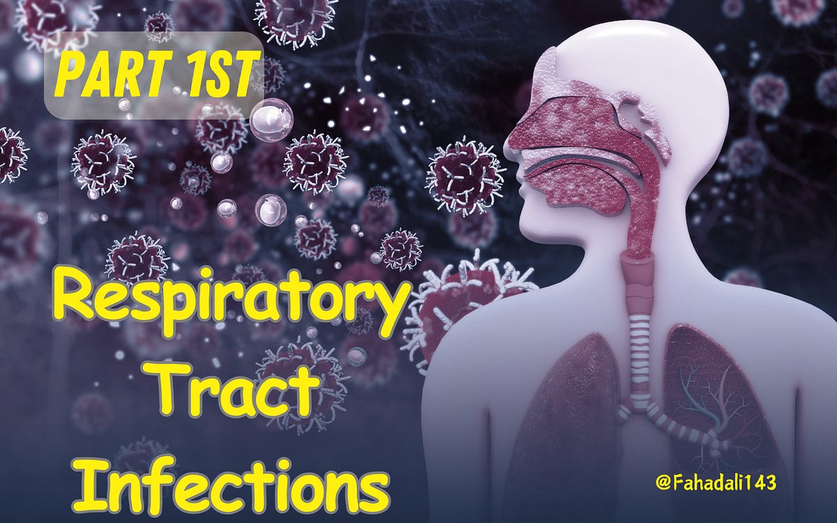 Infection: Upper & Lower Tract Infections. | by Fahad ali | Medium