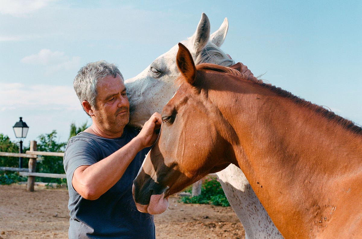 Spend the Day with a Catalan Cowboy | by Marguerite McNeal Carter ...
