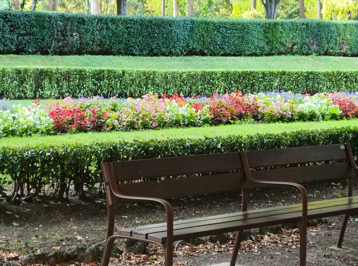 Diario de una nativa digital | by Aitana | Medium