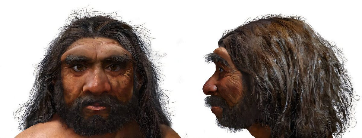 New Study Claims 1 Million-Year-Old Human Skull Rewrites Human ...