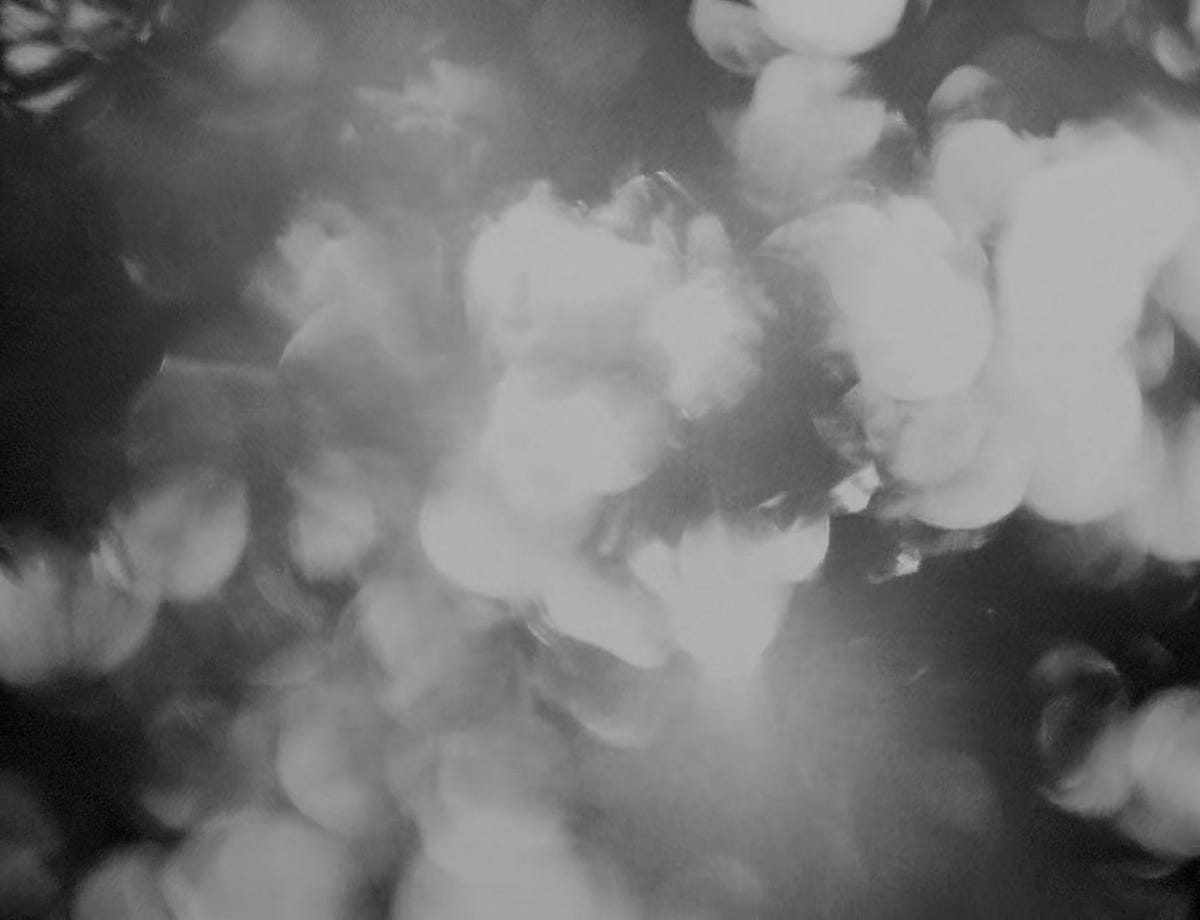Perfect Days- A Lyrical Documentation of Banal Moments | by FilmSoc ...