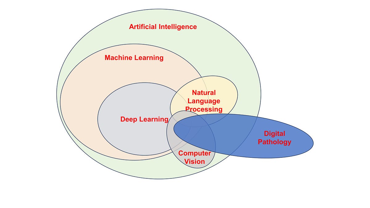 FDPNP2: Artificial Intelligence under the Microscope (Part 1) | by Minh ...
