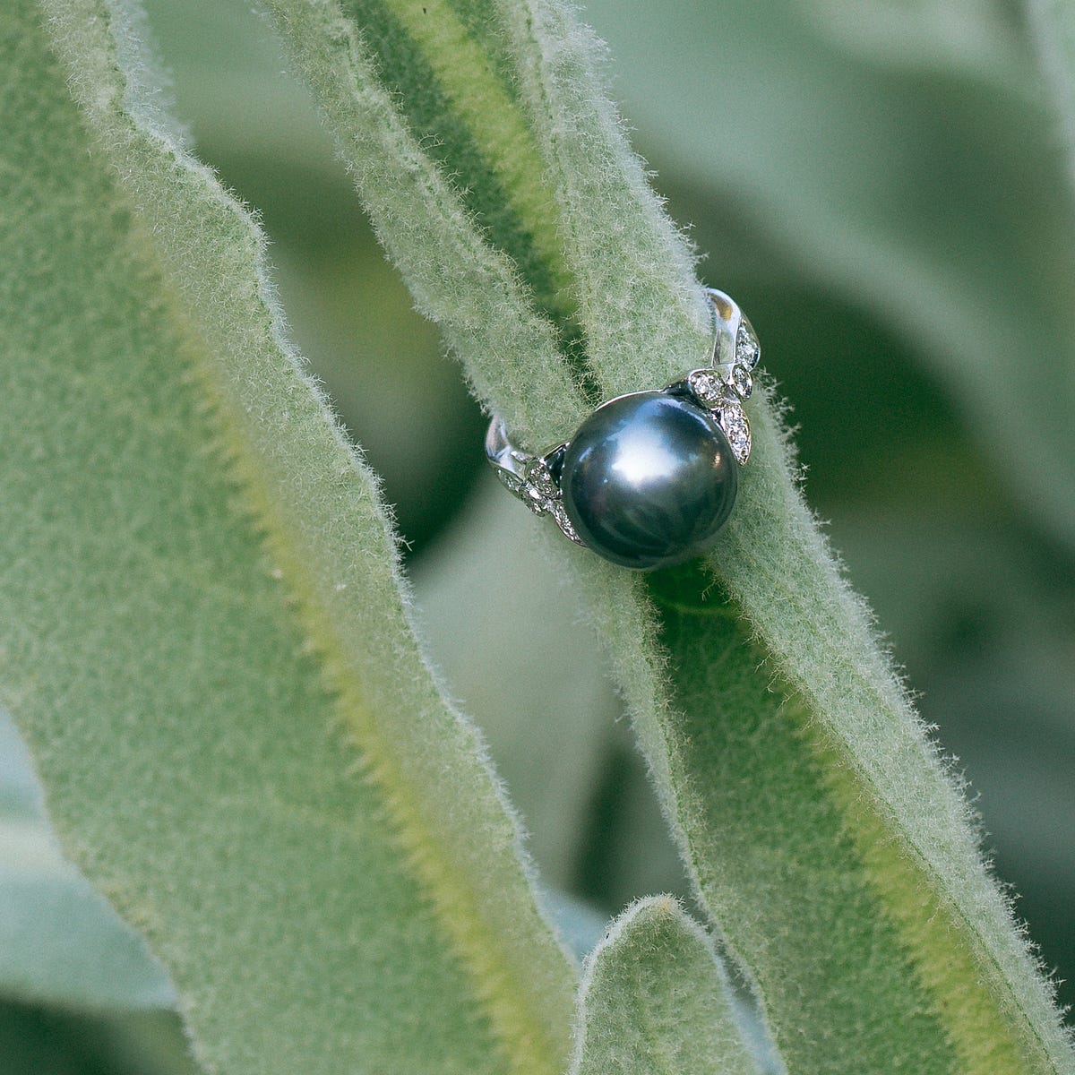 Pearl Meaning: The Myths Behind These Sea Gems | by The Pearl Source ...