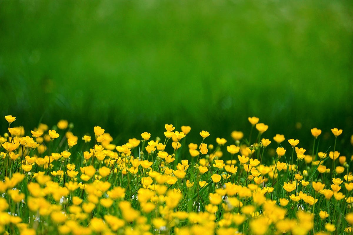 one-word-an-unusual-inspiration-for-a-10-minute-by-linda-lum-apr