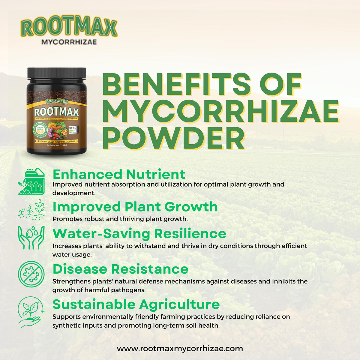 Exporter Of Mycorrhizae Powder: Enhance Plant Health - Rootmax ...