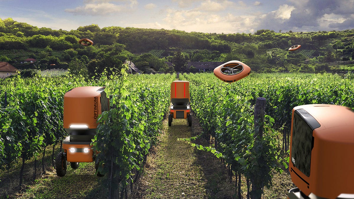 You Still Miss QQ Farm Stealing Vegetables, AI Technology Has Already ...