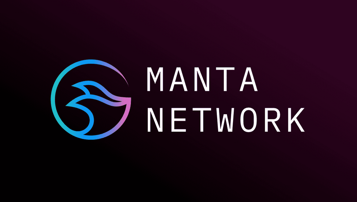 Manta Network — a fast and decentralized Layer 1 built on Polkadot ...