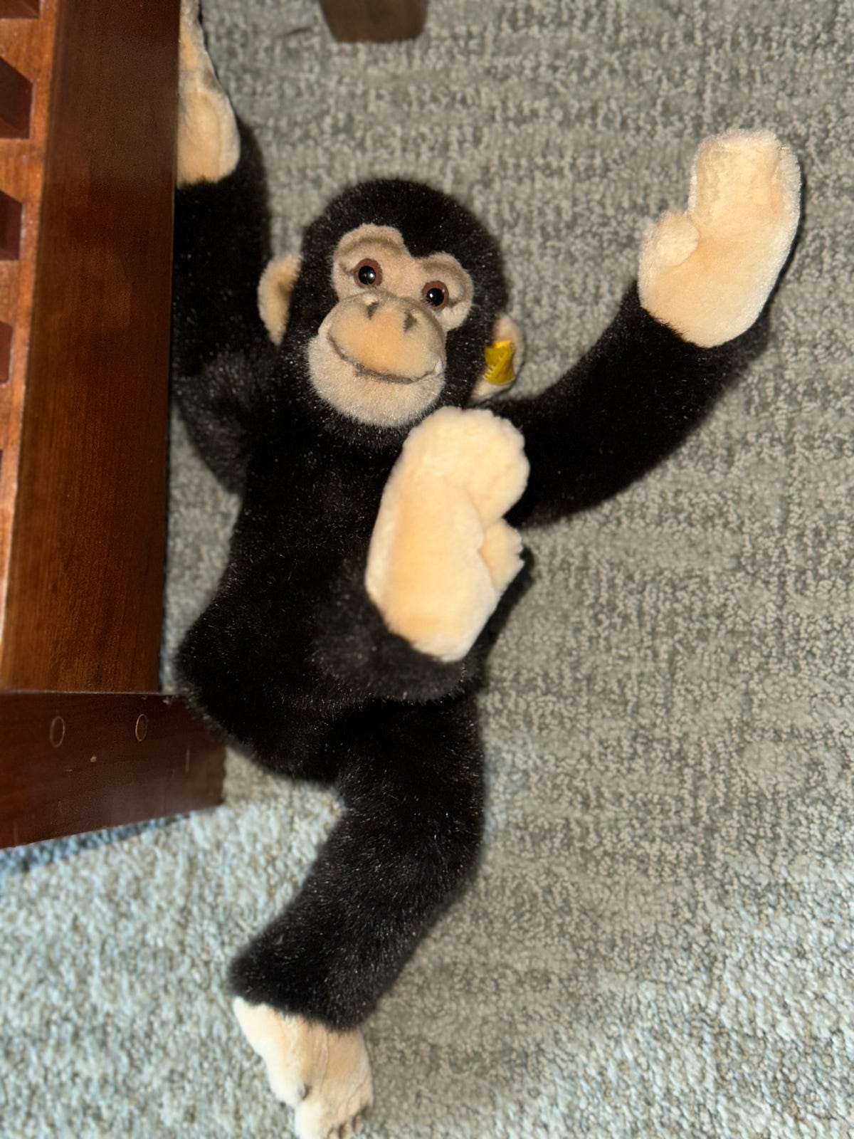 No More Monkeys Jumping On The Bed! - Six Word Photo Story Challenge ...