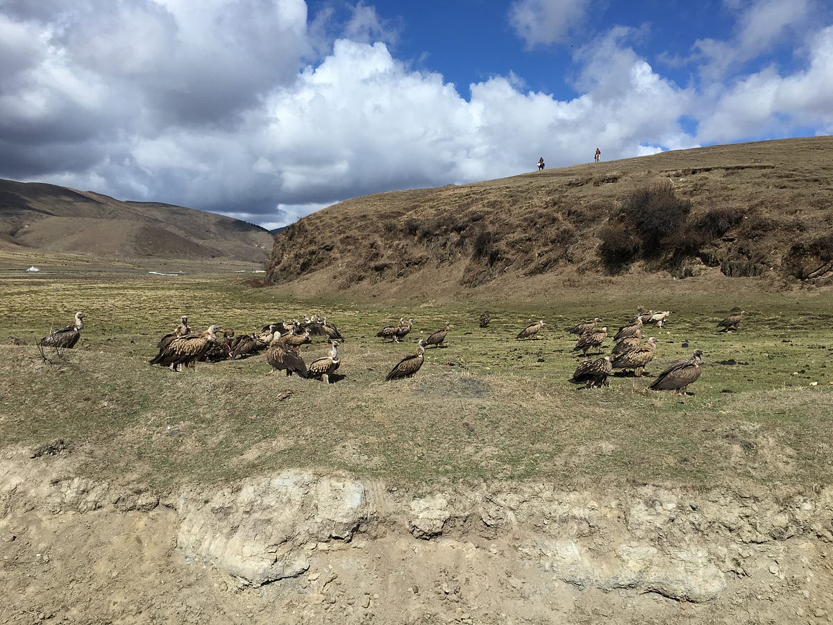 Sky burial, 2019. Overnight, one of the nuo had passed… | by Victor Zhenyi Wang | May, 2023 | Medium