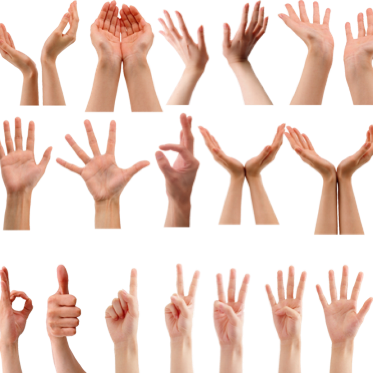 Intuitive Interaction: Developing a Hand Gesture Recognition Model for ...