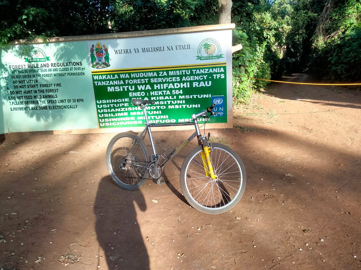 Bike to Rau Forest Reserve, explore the rice plantation, Kilimanjaro ...