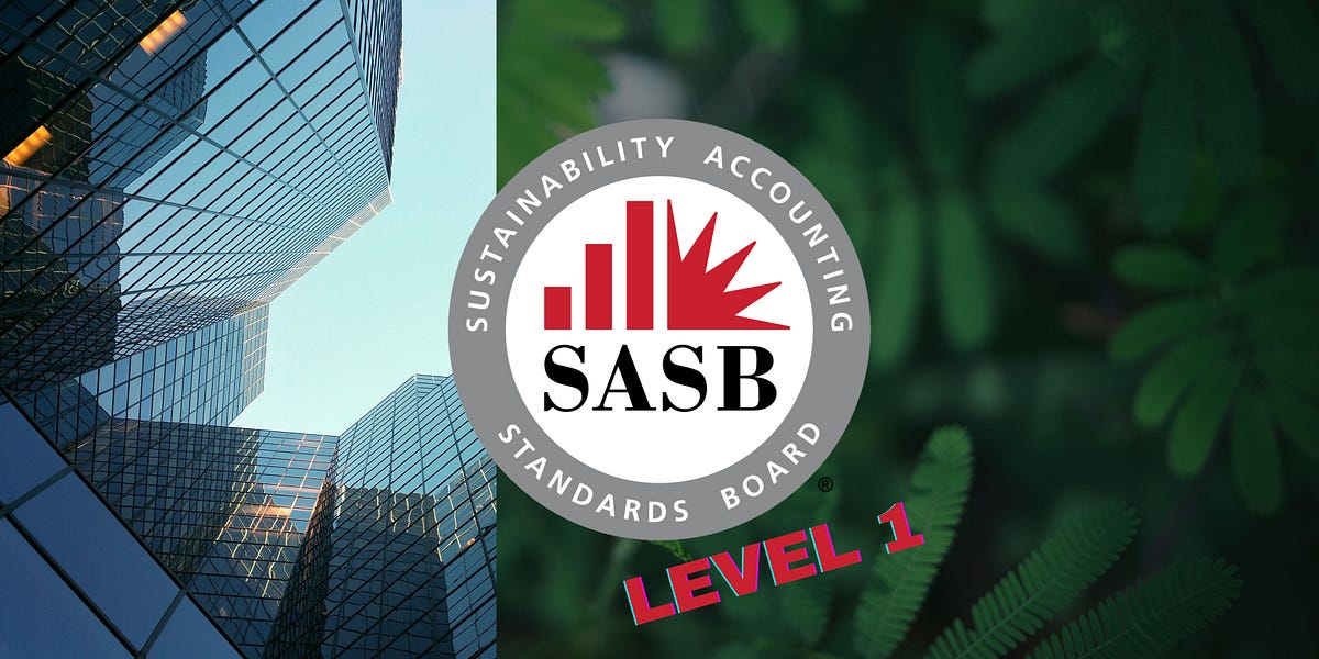 How to Pass SASB FSA Level 1: What to Expect and Study Tips | by ...