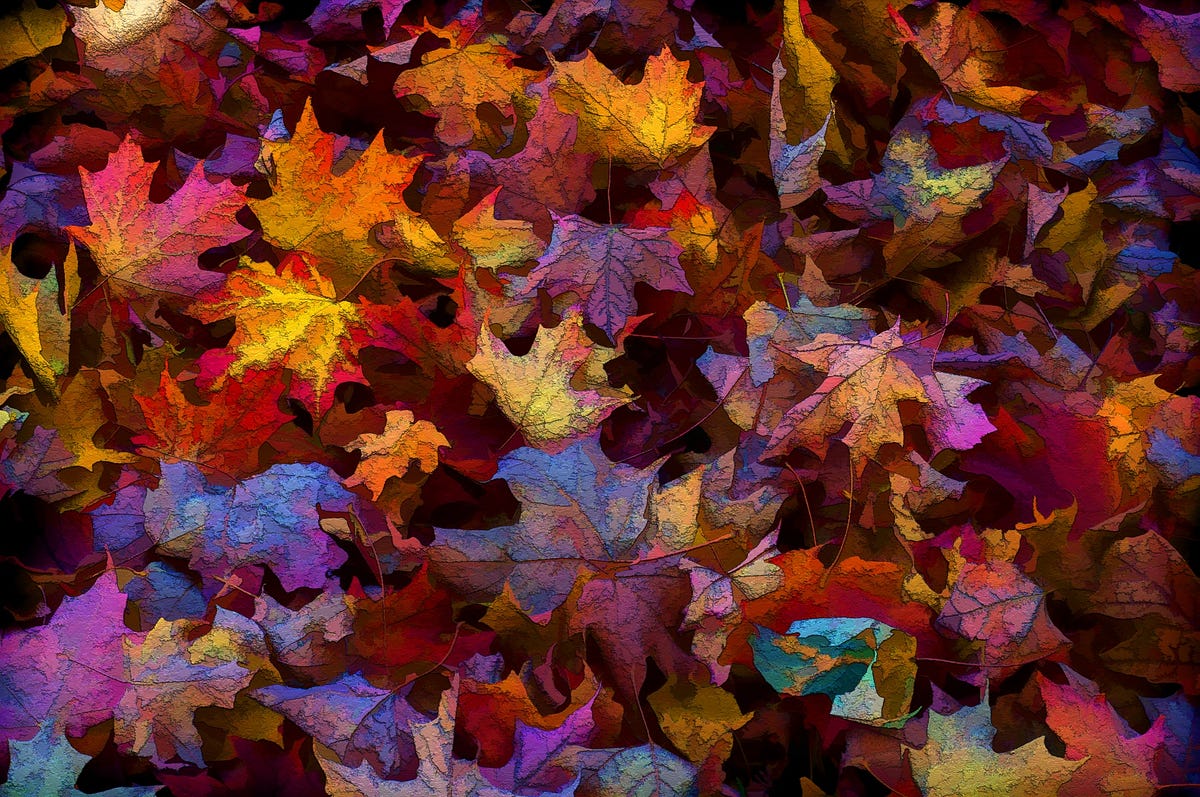 Scabrous Beauty - An Idea (by Ingenious Piece) - Medium