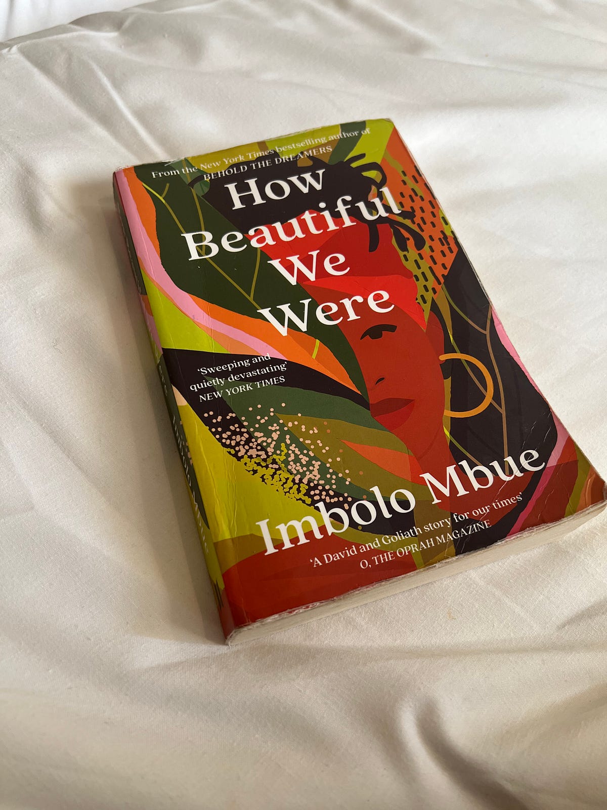 How Beautiful We Were by Imbolo Mbue — Book Review | by Tomi Dare | Medium