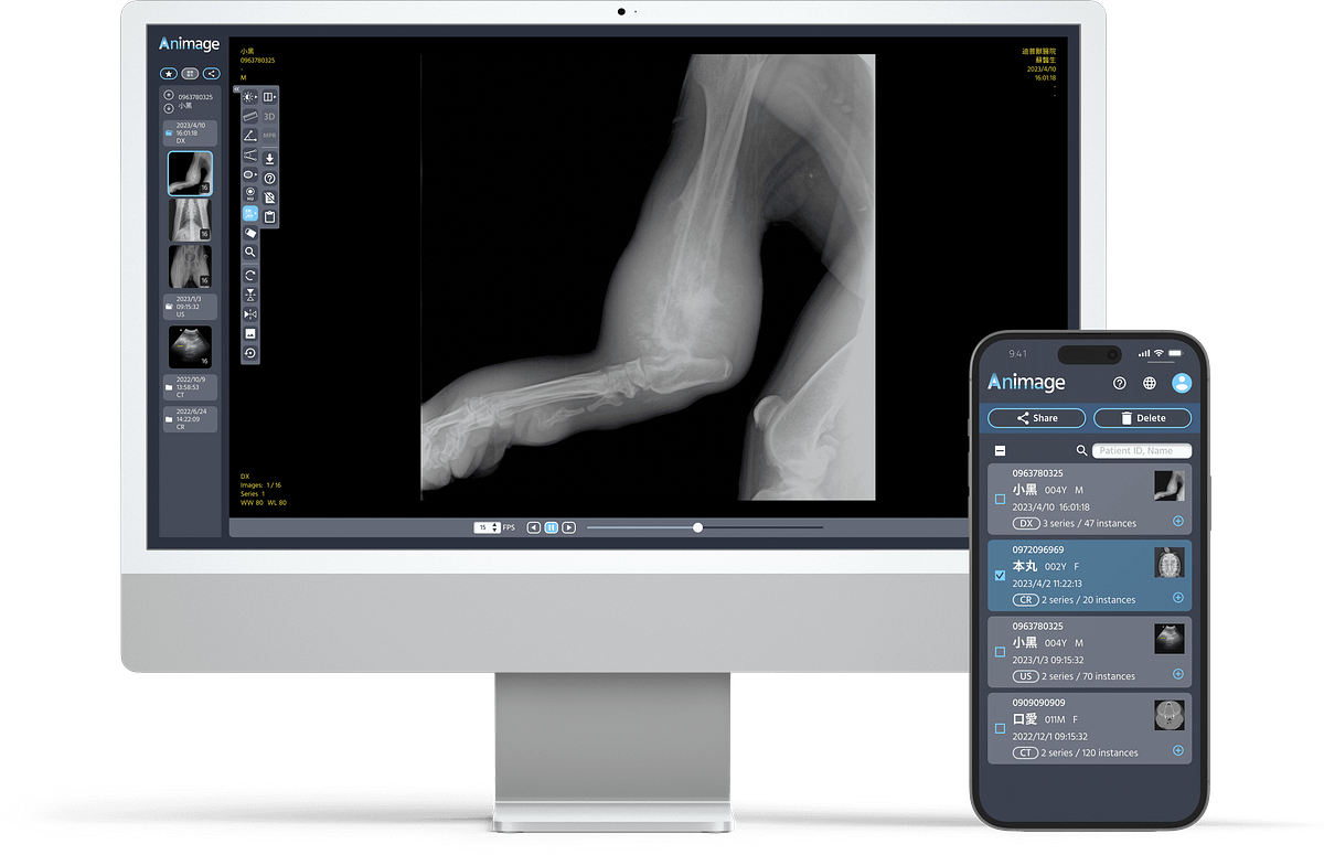 🐾 A Sneak Peek into Our Cloud-Based Medical Imaging System for Vets ...