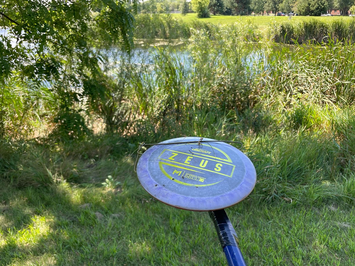 I Trudged a Murky Pond With a Disc Snatching Stick | by Aster Lately ...
