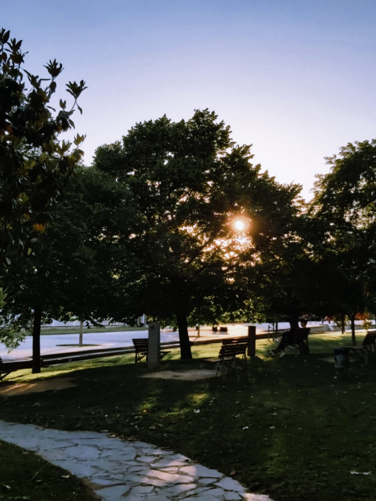 Chica floreciente. Estoy en la cafetería y sin poder… | by Nadia Villanueva Feo | Medium
