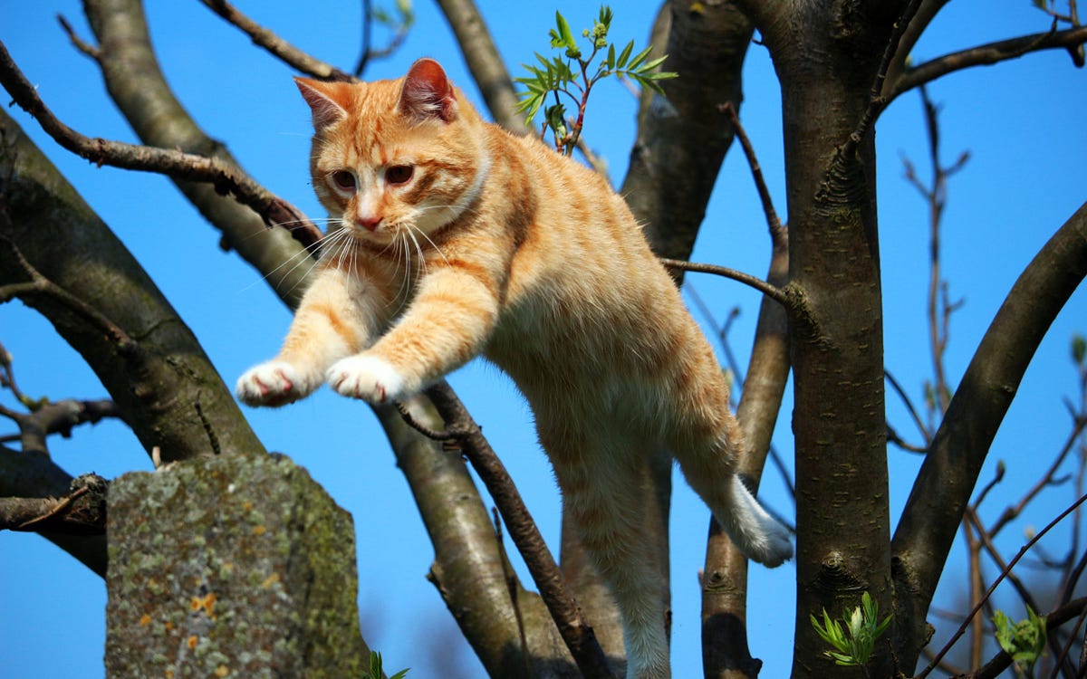 Two simple ways to be more agile and avoid re-work this week. | by Leon ...