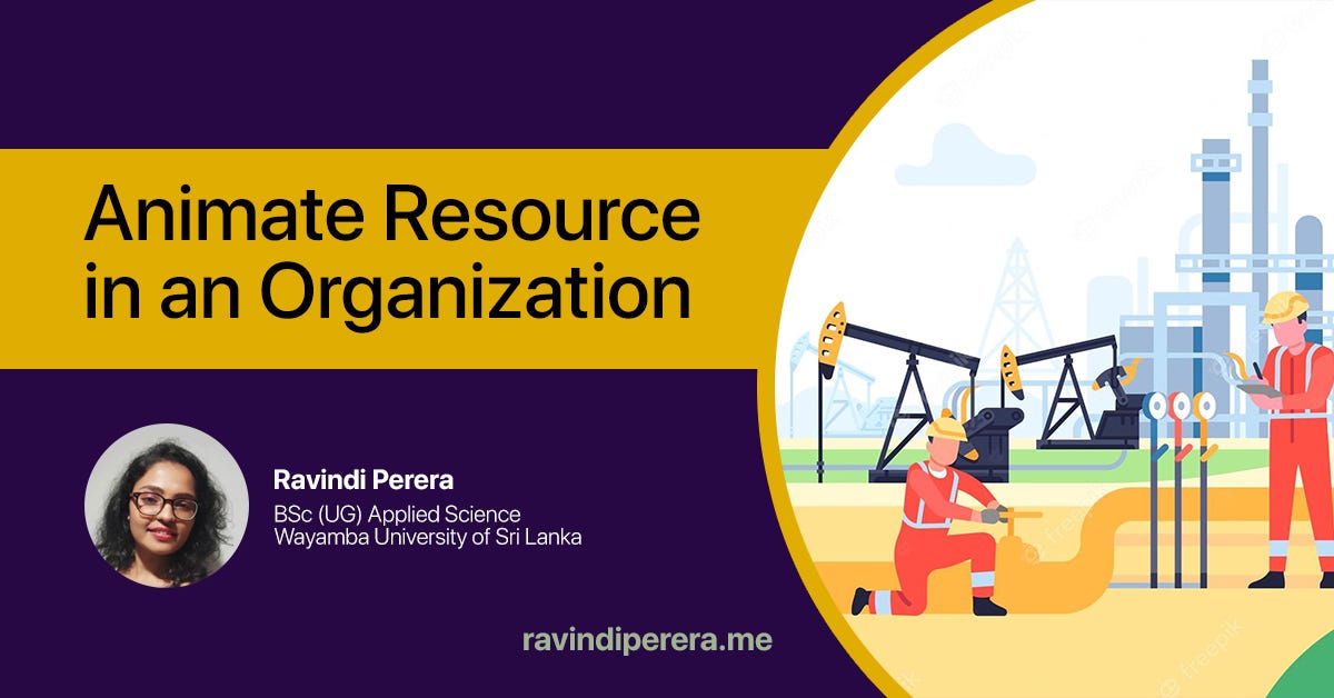 Animate Resource in an Organization | by Ravindi Perera | Jun, 2023 ...
