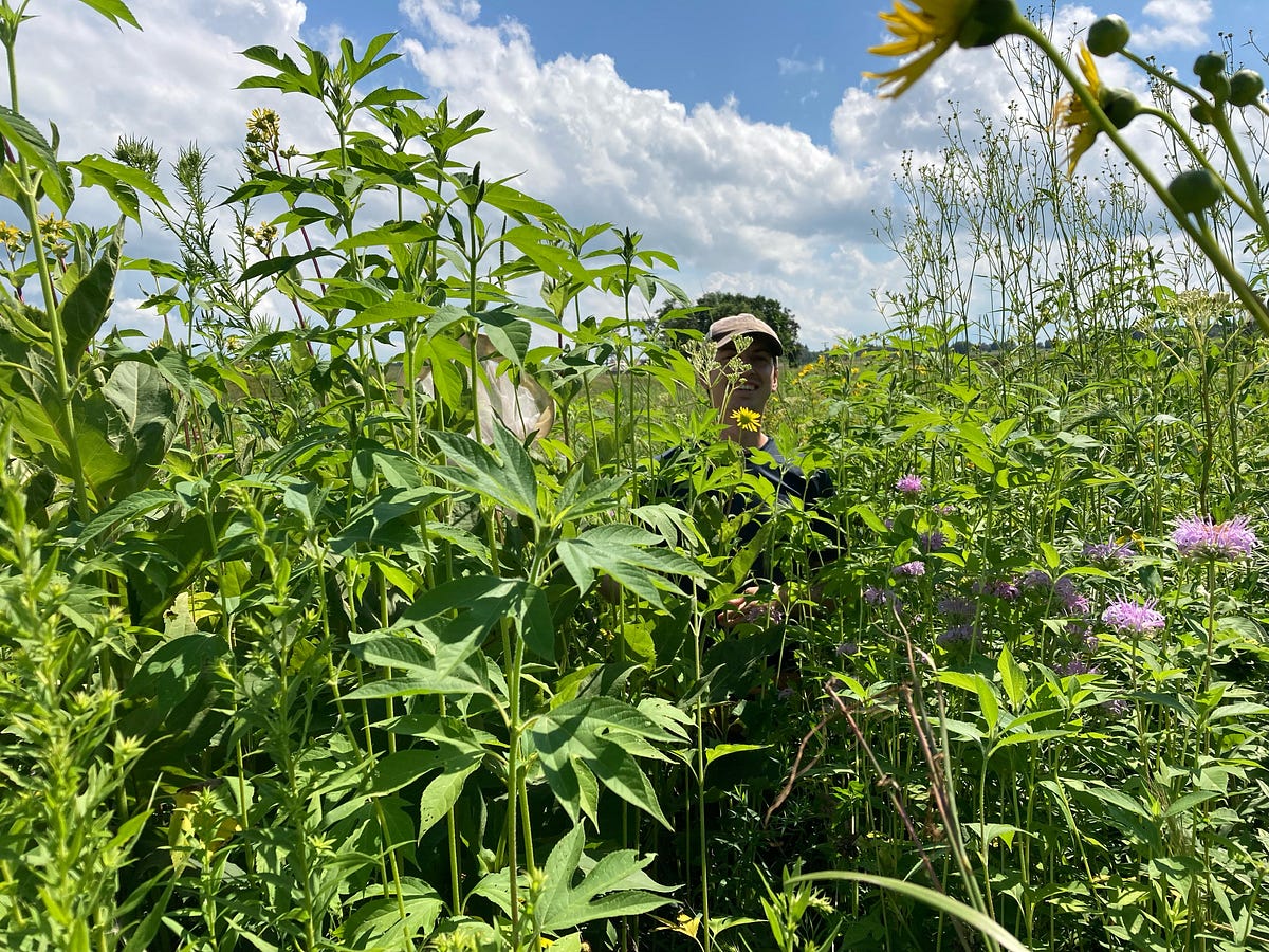 What does it take to be a “fully successful” Federal Research Ecologist ...