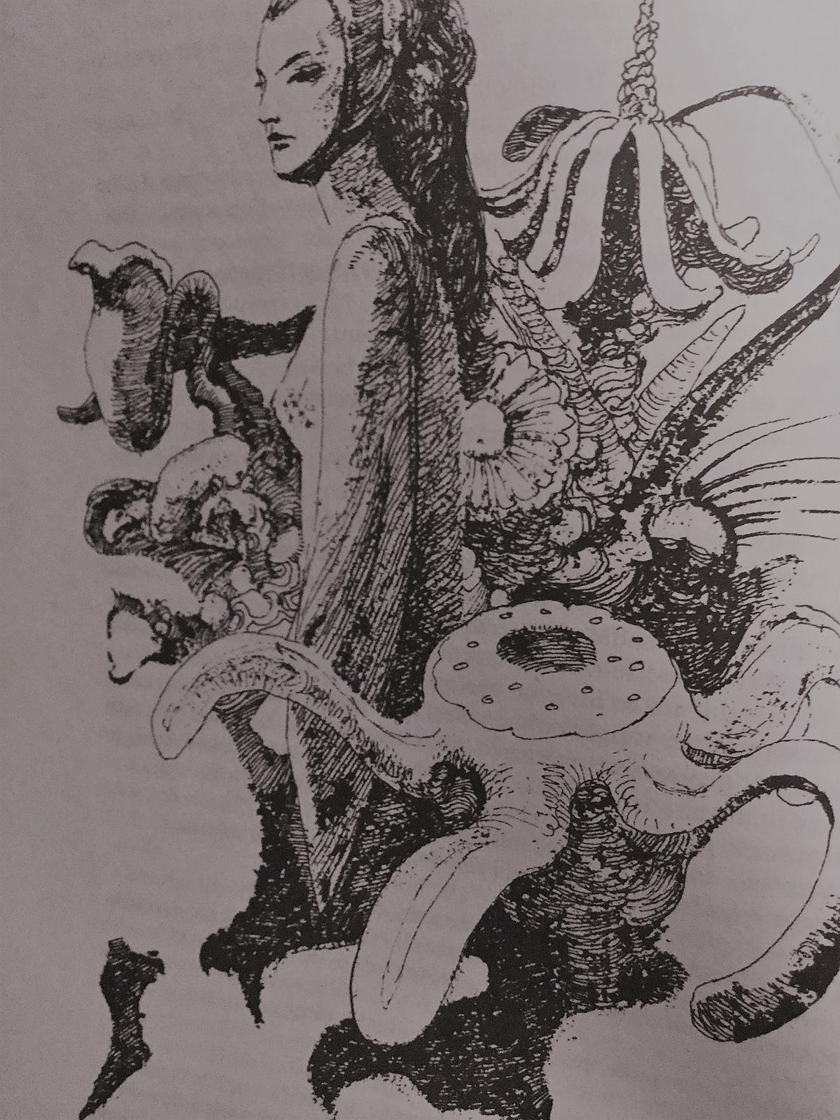 Water Discipline: The Ecology of Dune | by Bryce Skidmore | Medium
