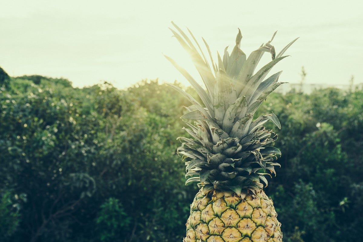 Importing Organic. A few pointers about the requirements… | by Stowga ...