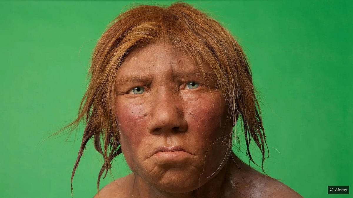 Неандертальчууд (Neanderthals)хэрхэн амьдарч байсан бэ? | by Sugarmaa Enkhtaivan | Medium