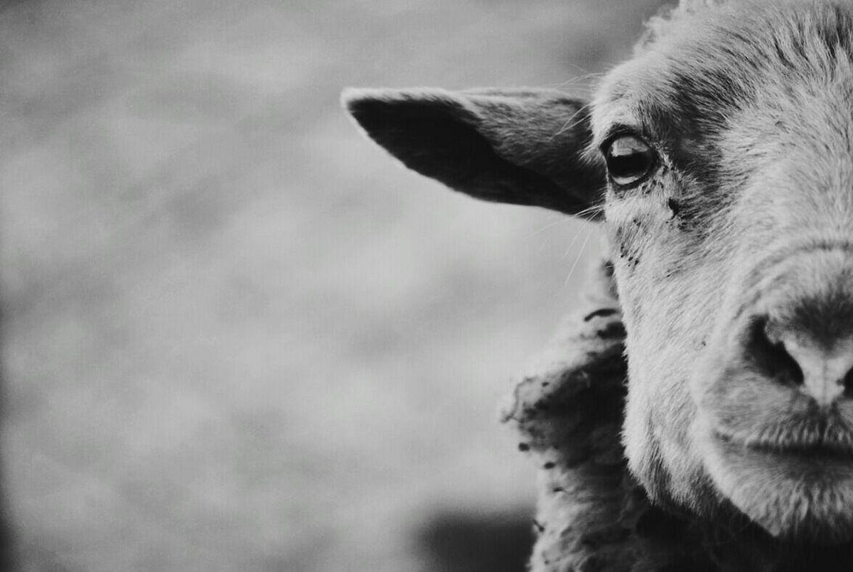 CLOSED - Alex Tash Poetry - Medium