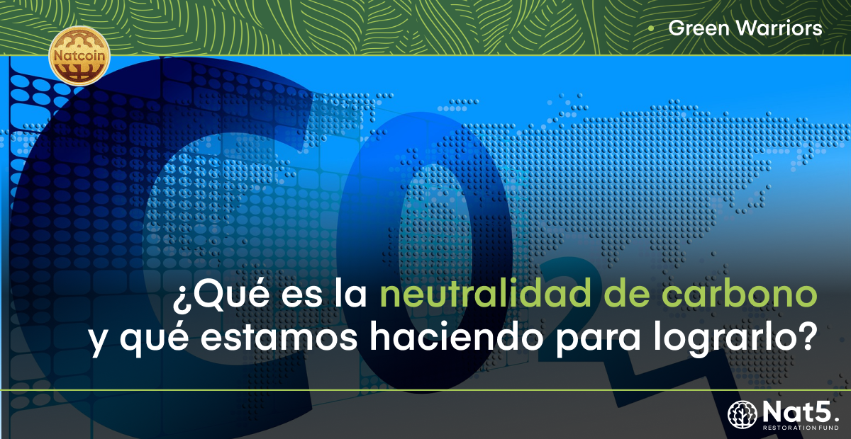 ¿Qué es la neutralidad de carbono y qué estamos haciendo para lograrlo ...